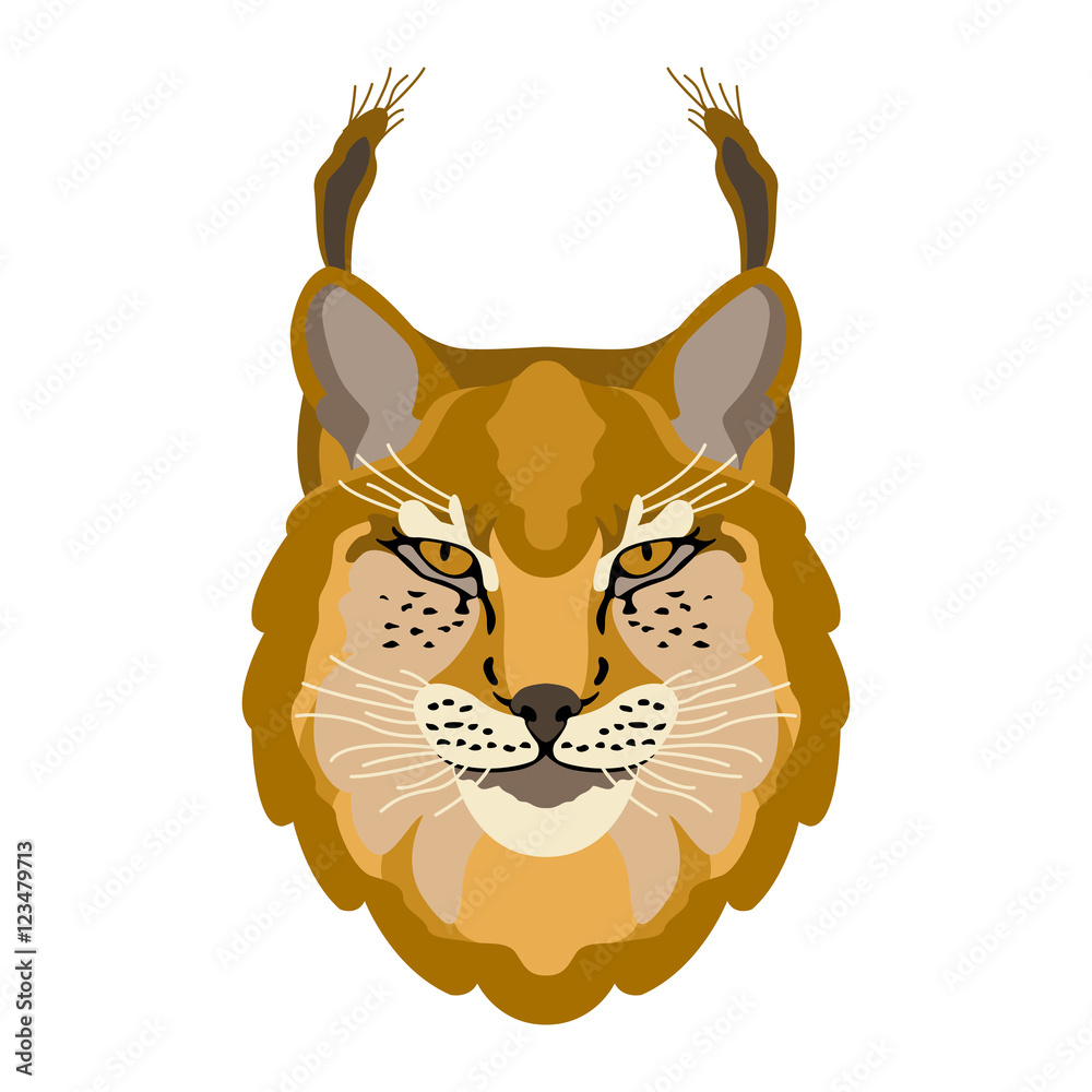 Lynx head face vector illustration style Flat Stock Vector | Adobe Stock