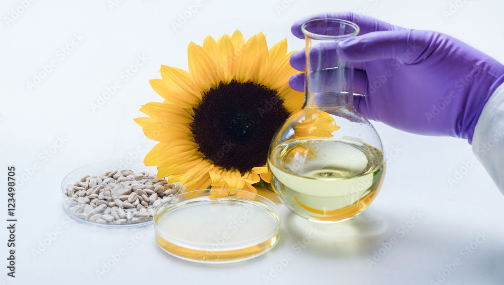 Analysis of sunflower oil in laboratory Stock 写真 | Adobe Stock
