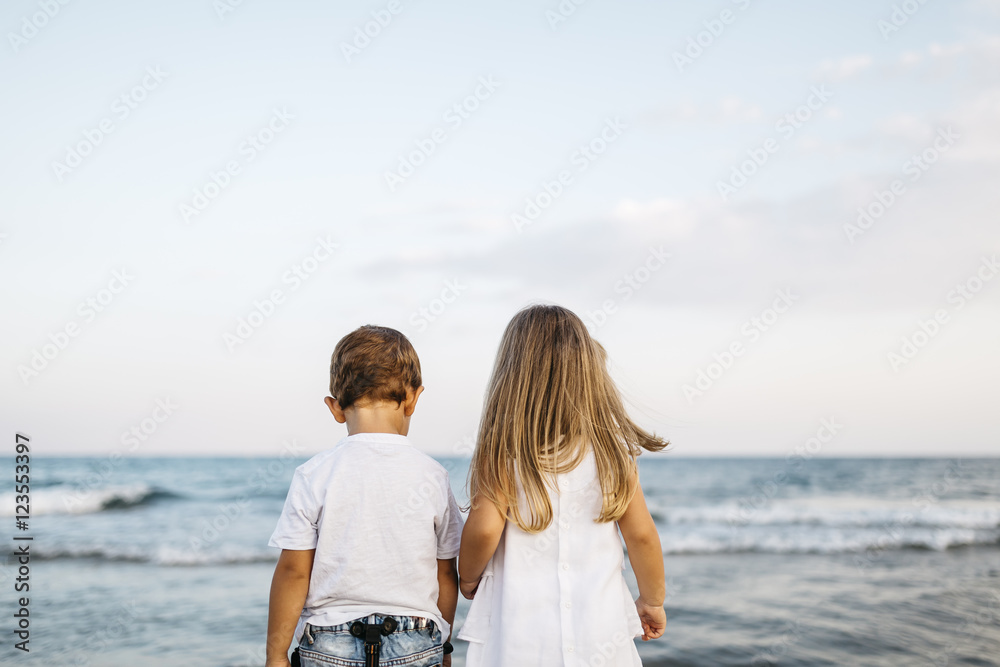 Back view of little boy and girl standing side by side in front of the ...