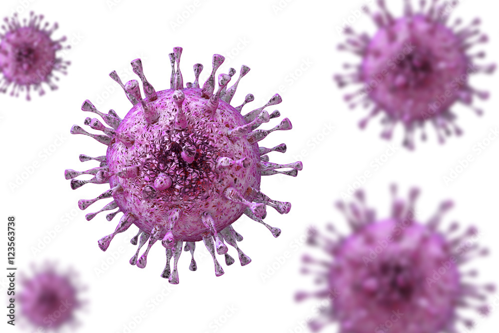 Cytomegalovirus CMV, a DNA virus from Herpesviridae family isolated on ...