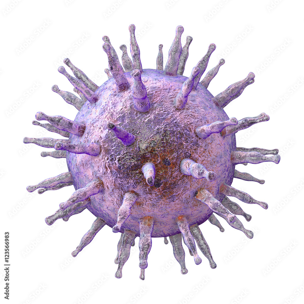 Epstein-Barr virus EBV, a herpes virus which causes infectious ...