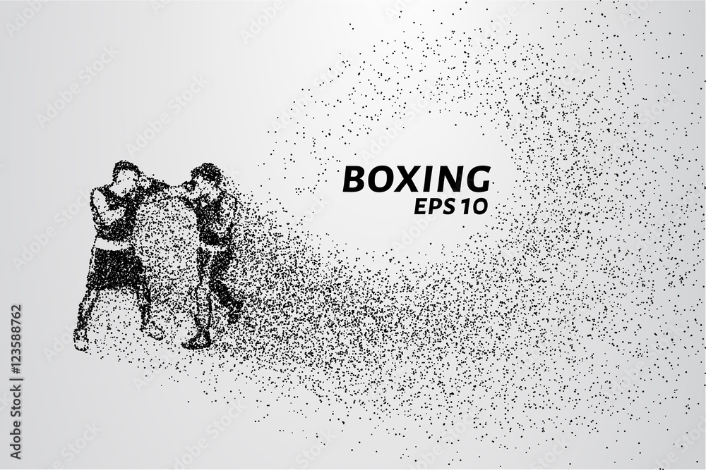 The Boxing of the particles. A Boxing match consists of small circles ...