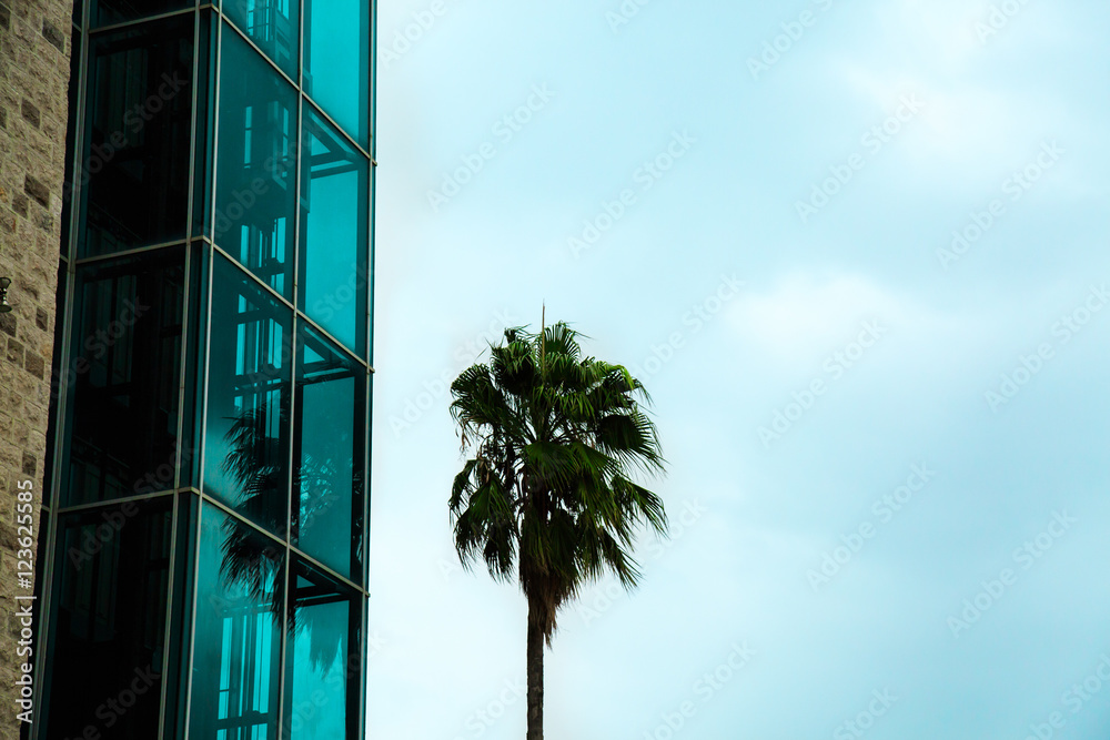 Modern glass building against blue sky. Abstract detail contemporary ...