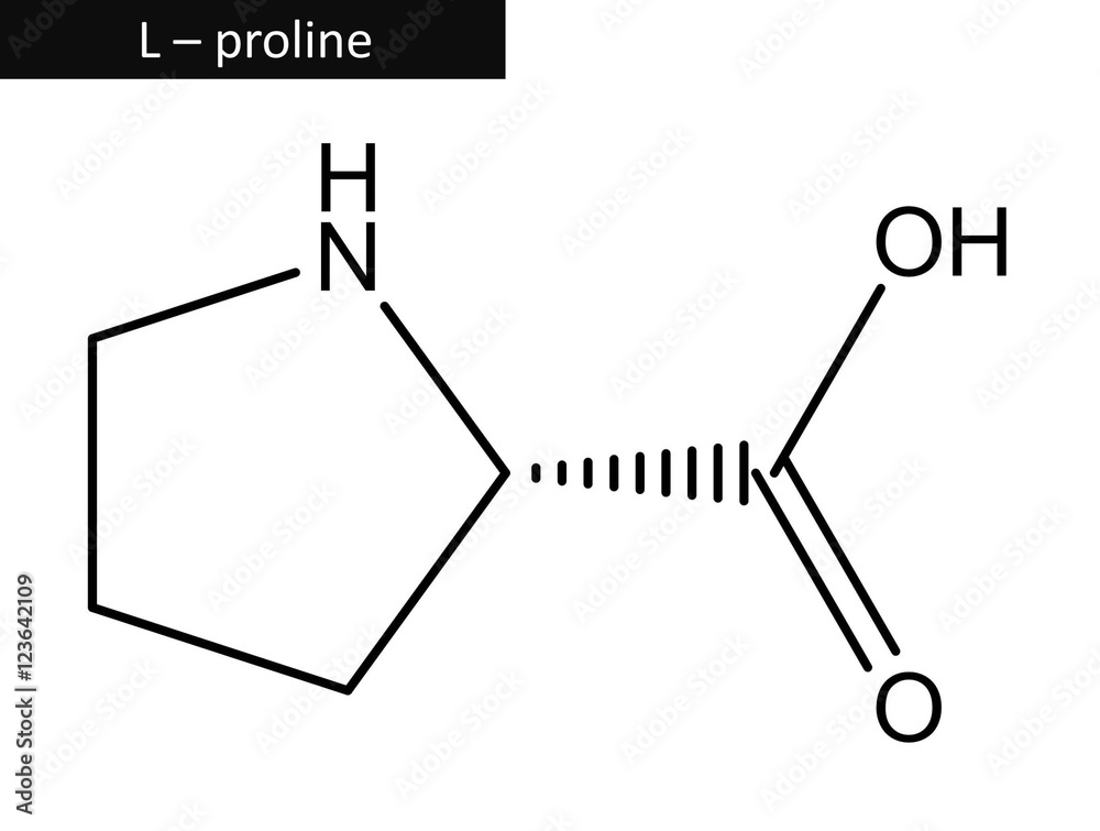 Molecular structure of L - proline Stock Illustration | Adobe Stock