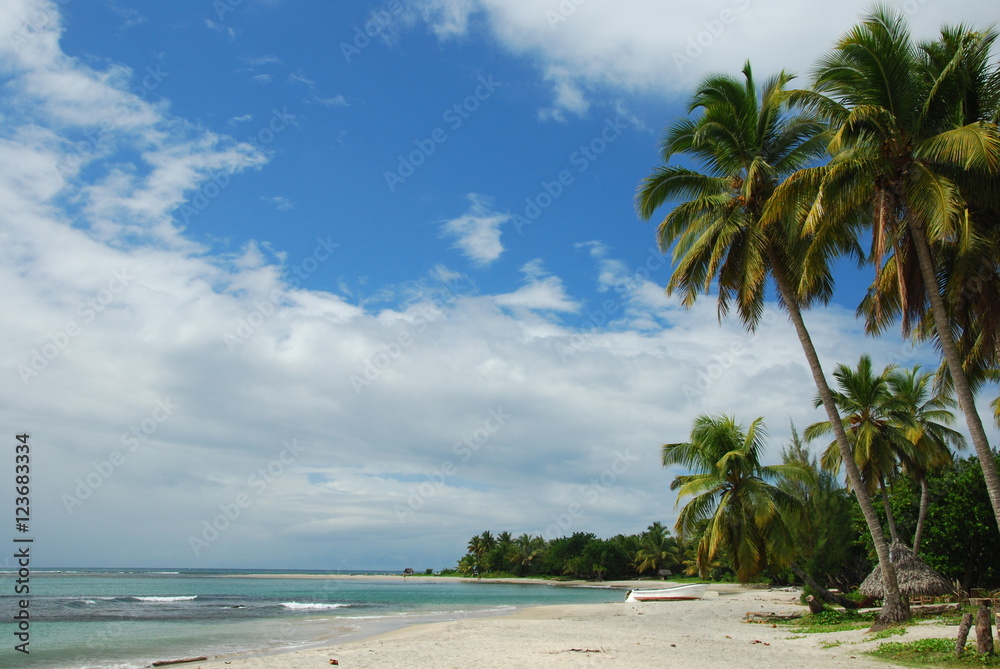Plage des tropiques Stock Photo | Adobe Stock