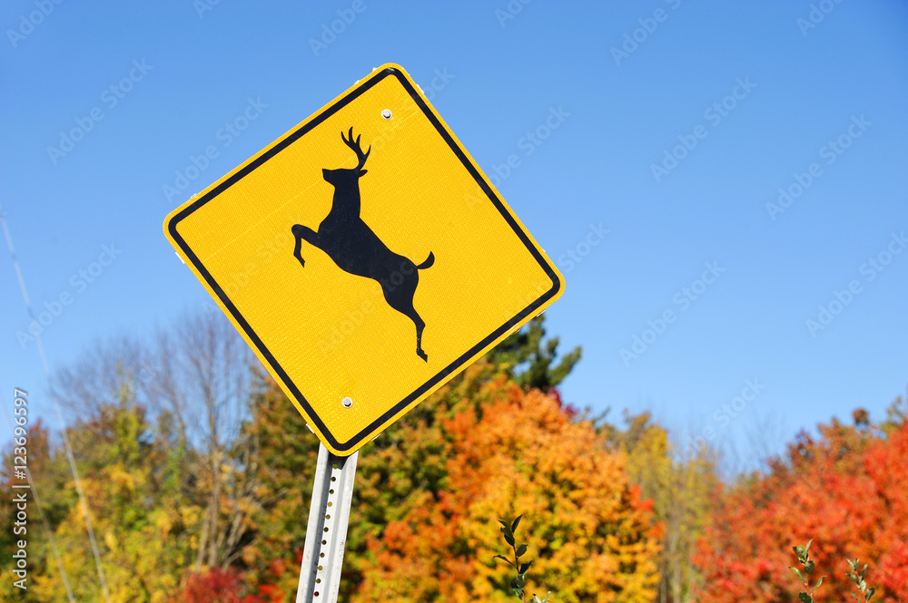 Deer Xing Sign