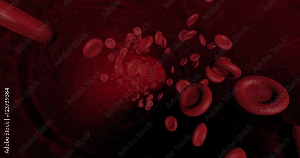 Red blood cells moving through the body. 4K and HD Stock Video | Adobe ...