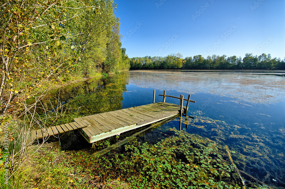 Ponton au lac du bocage à fenouillet foto de Stock | Adobe Stock