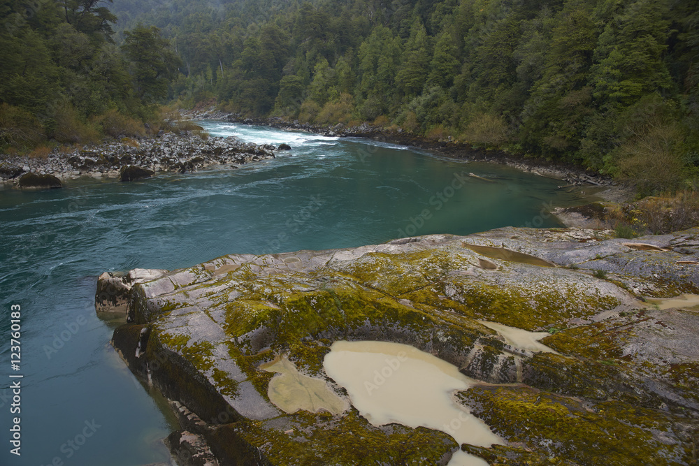 River Futaleufu flowing through mist shrouded forests in the Aysen ...