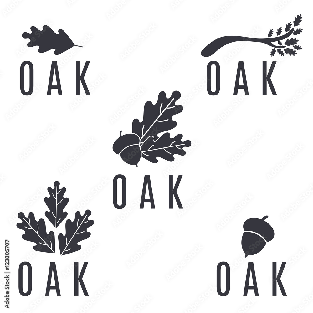 Set of logos on an oak tree with leaves and acorns.Vector illust Stock ...