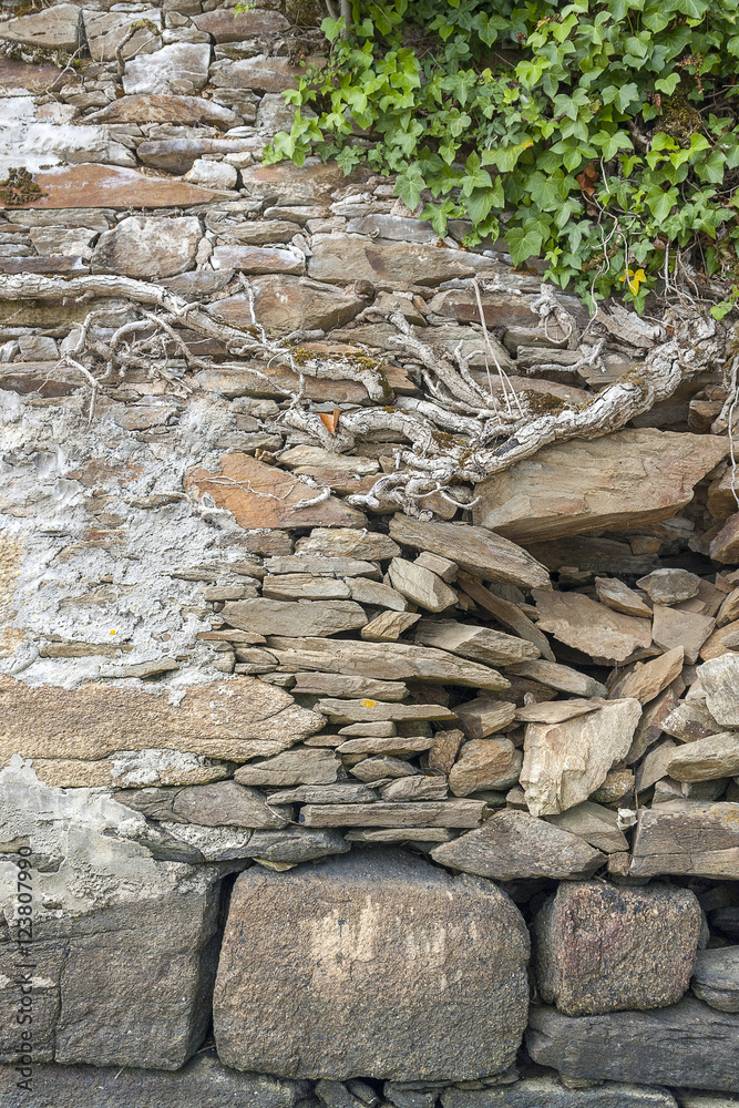 rundown wall detail Stock Photo | Adobe Stock