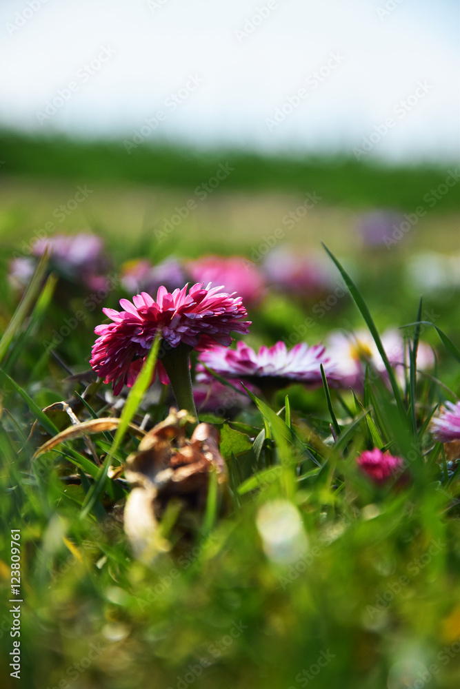 sto Stock Photo | Adobe Stock