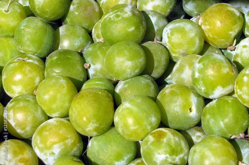 Prunes vertes Stock Photo | Adobe Stock