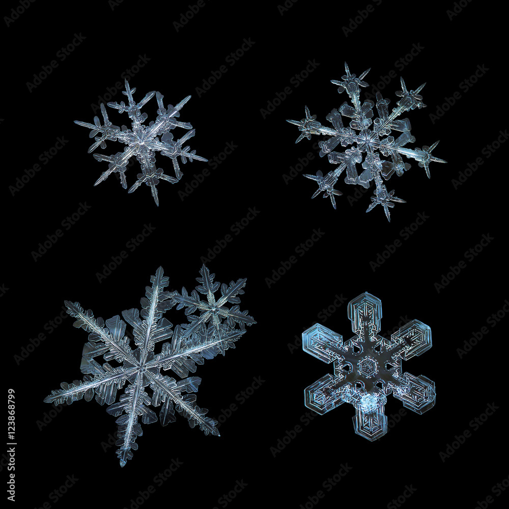 Set of four snowflakes, isolated on black background. This collage made ...