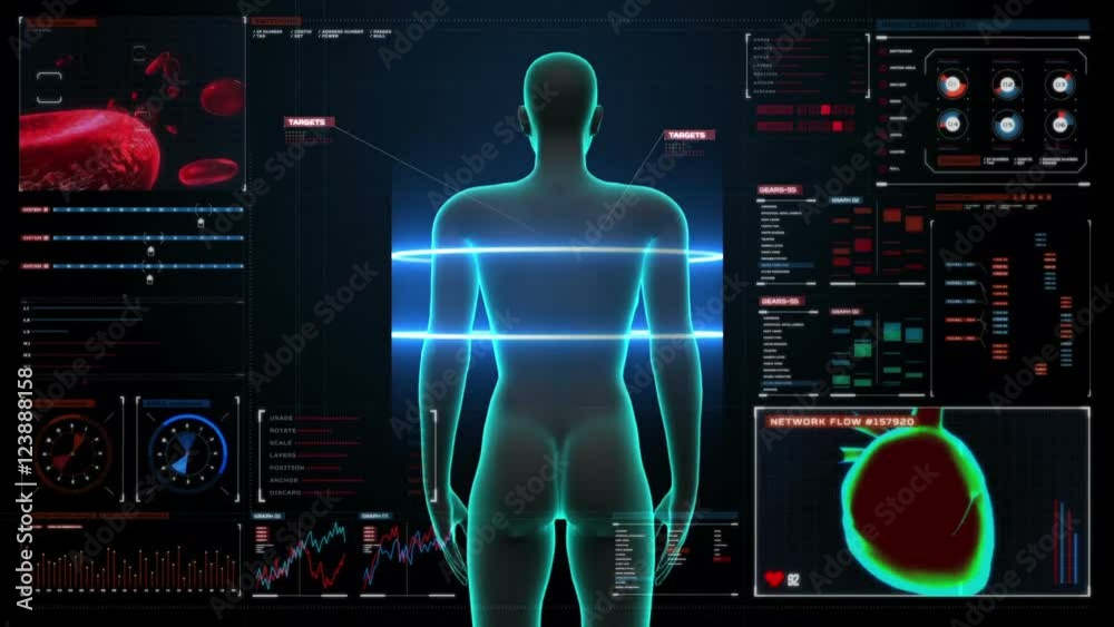 Zooming front Female body and scanning heart. Human cardiovascular ...