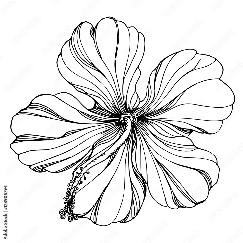 Red Hand Drawn Floral Ornament With Hibiscus Flower Stock Vector