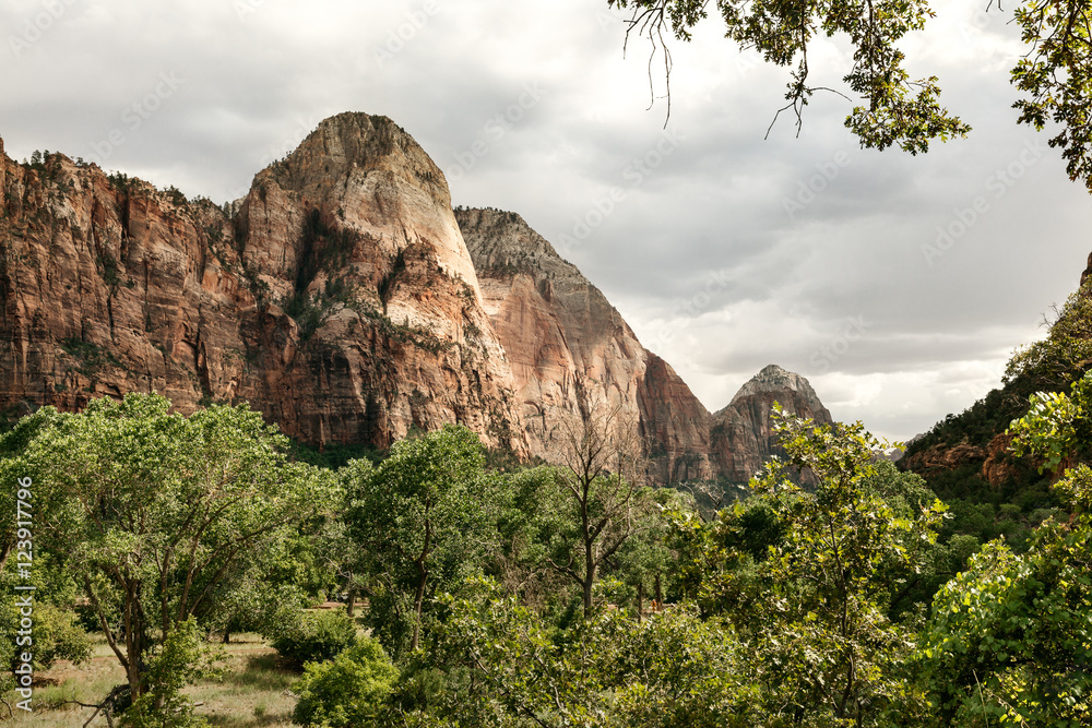 Orange colored mountain at Zion National Park, UTAH, USA Stock Photo ...