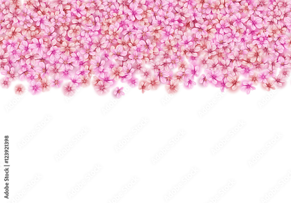 Vector beautiful sakura flowers horizontal seamless pattern or ...