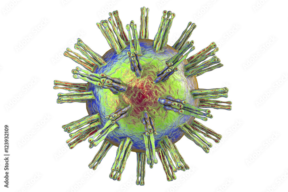 Human Herpes simplex virus isolated on white background. 3D ...