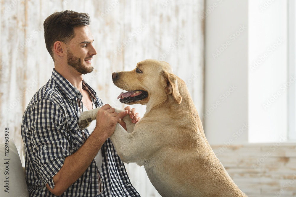 excited dog looking at its owner Stock Photo | Adobe Stock