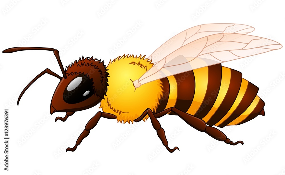 Cartoon wasp Stock Vector | Adobe Stock