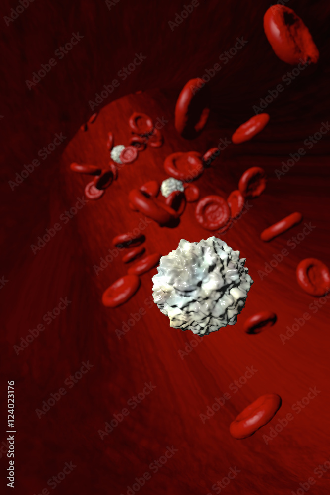 Single isolated white blood cell in front of red blood cells flowing ...