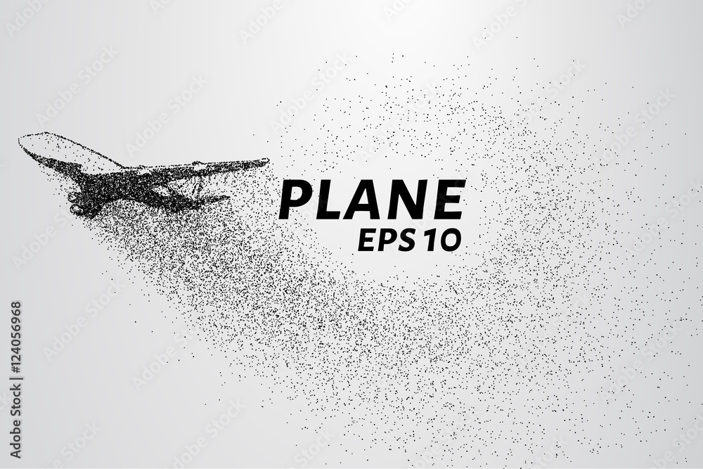 The plane of the particles. The plane disintegrated into small ...