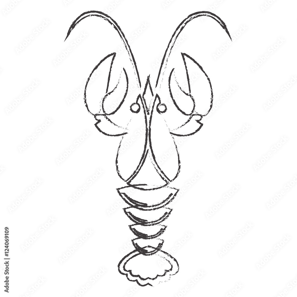 Crawfish Outline