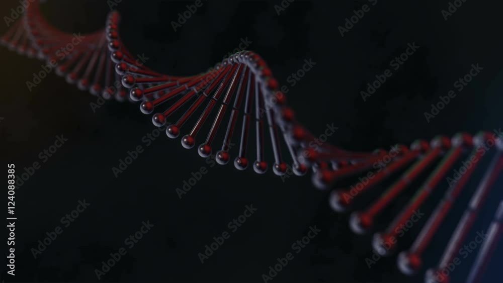 Red Black DNA Strand Chain Helix Looping Animation 4K Stock Video ...
