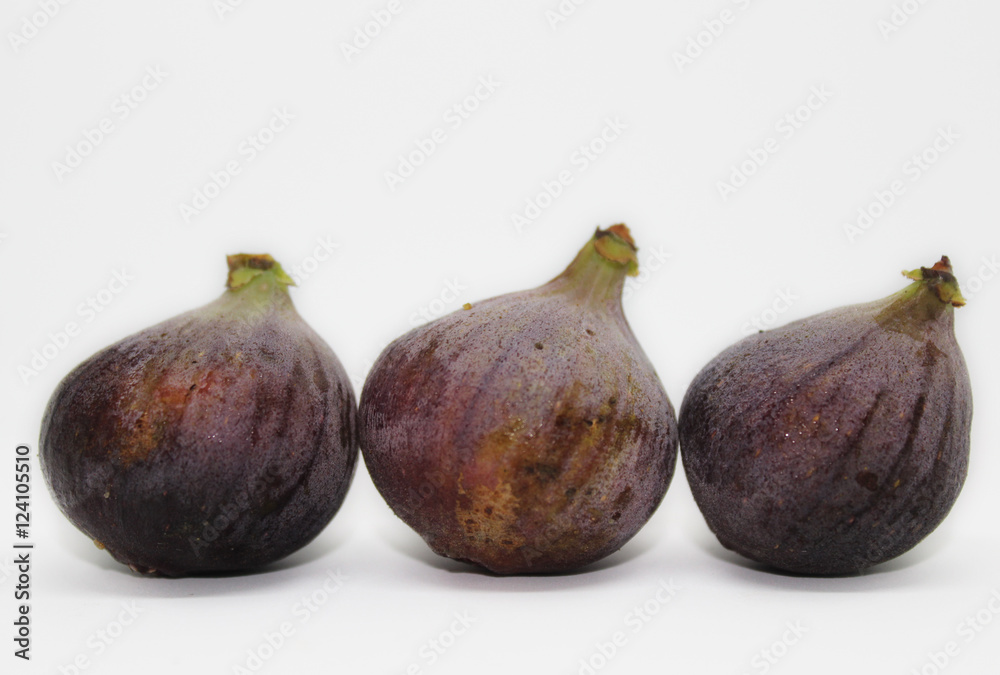 Higo o breva, Ficus carica Stock Photo | Adobe Stock