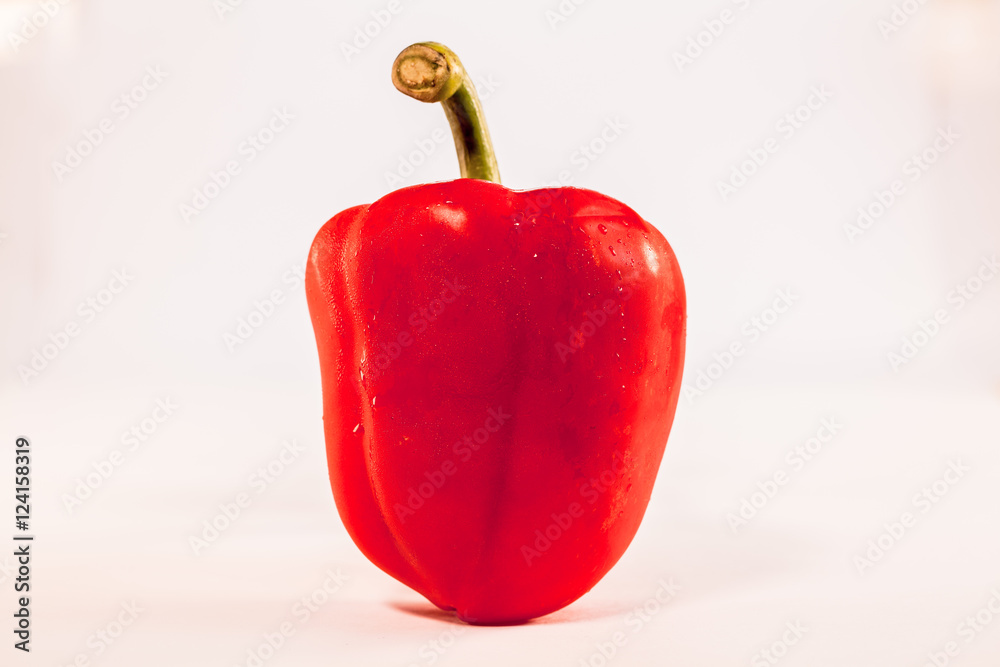 bell pepper is a cultivar group of the species Capsicum annuum ...