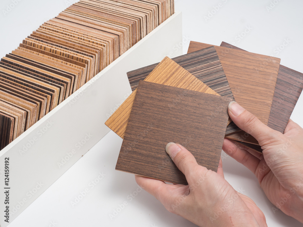 samples of veneer wood is isolated on white background Stock Photo ...