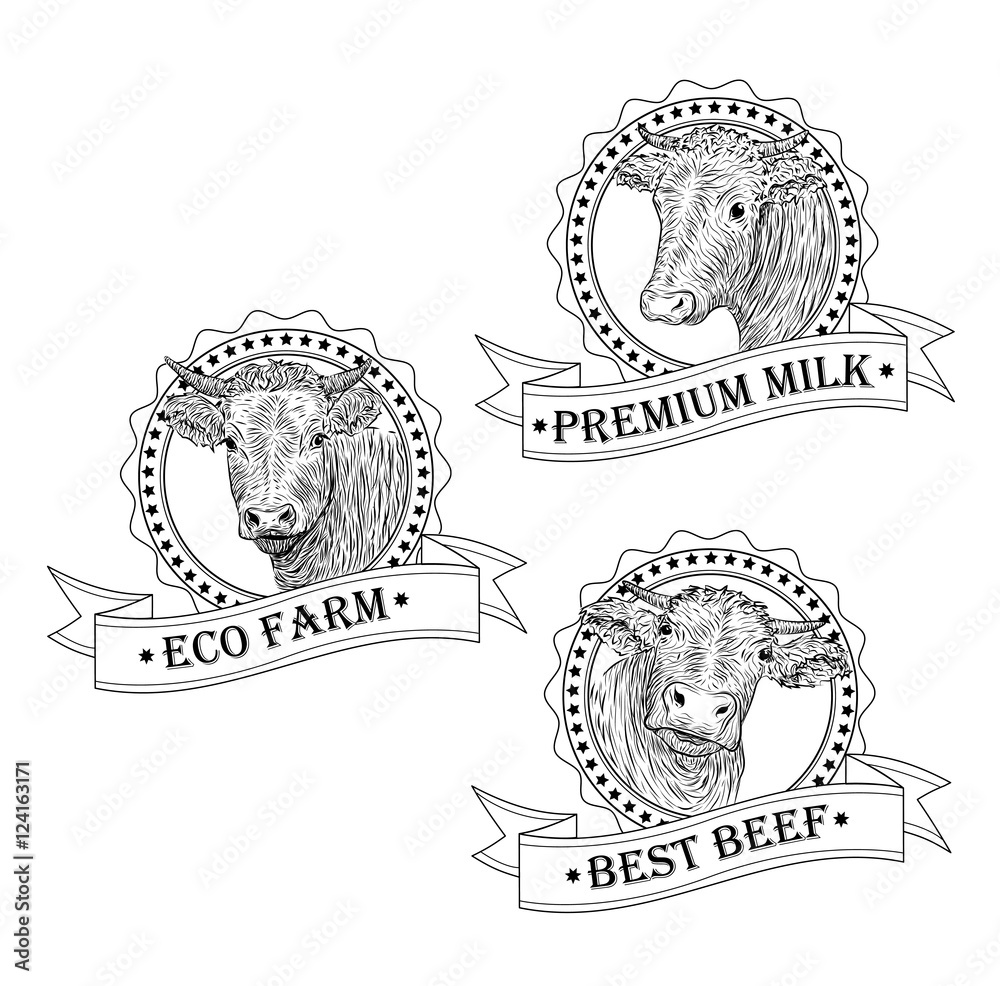 Cow, calf, bull cute muzzle face set collection variation sticker icon ...