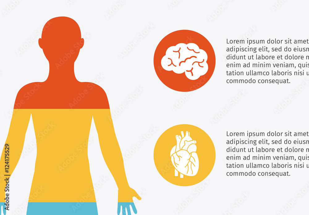 4-Section Human Body Infographic and Anatomical Icon Set Stock Template ...