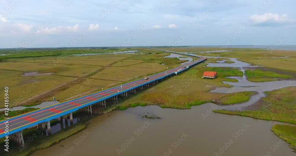 Aerial View of Bridge across the Wetland, Thailand Stock Video | Adobe ...