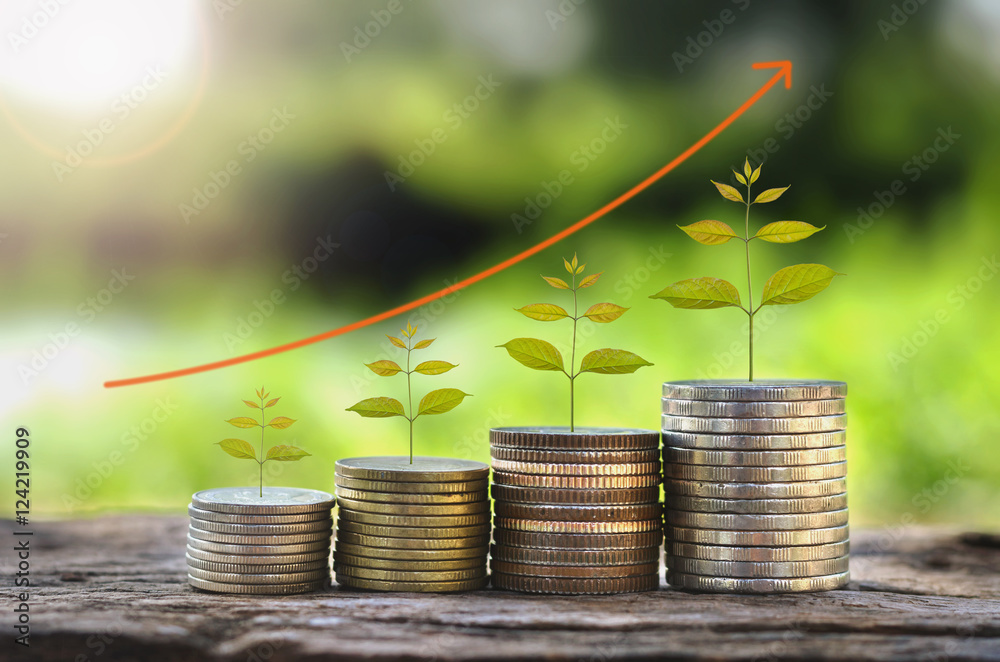 concept money growing and small tree and sunhine in nature Stock Photo ...