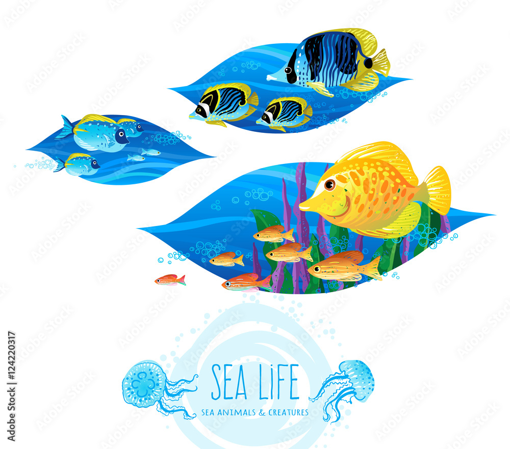 Vector set of sea animals and seaweeds. Stock Vector | Adobe Stock