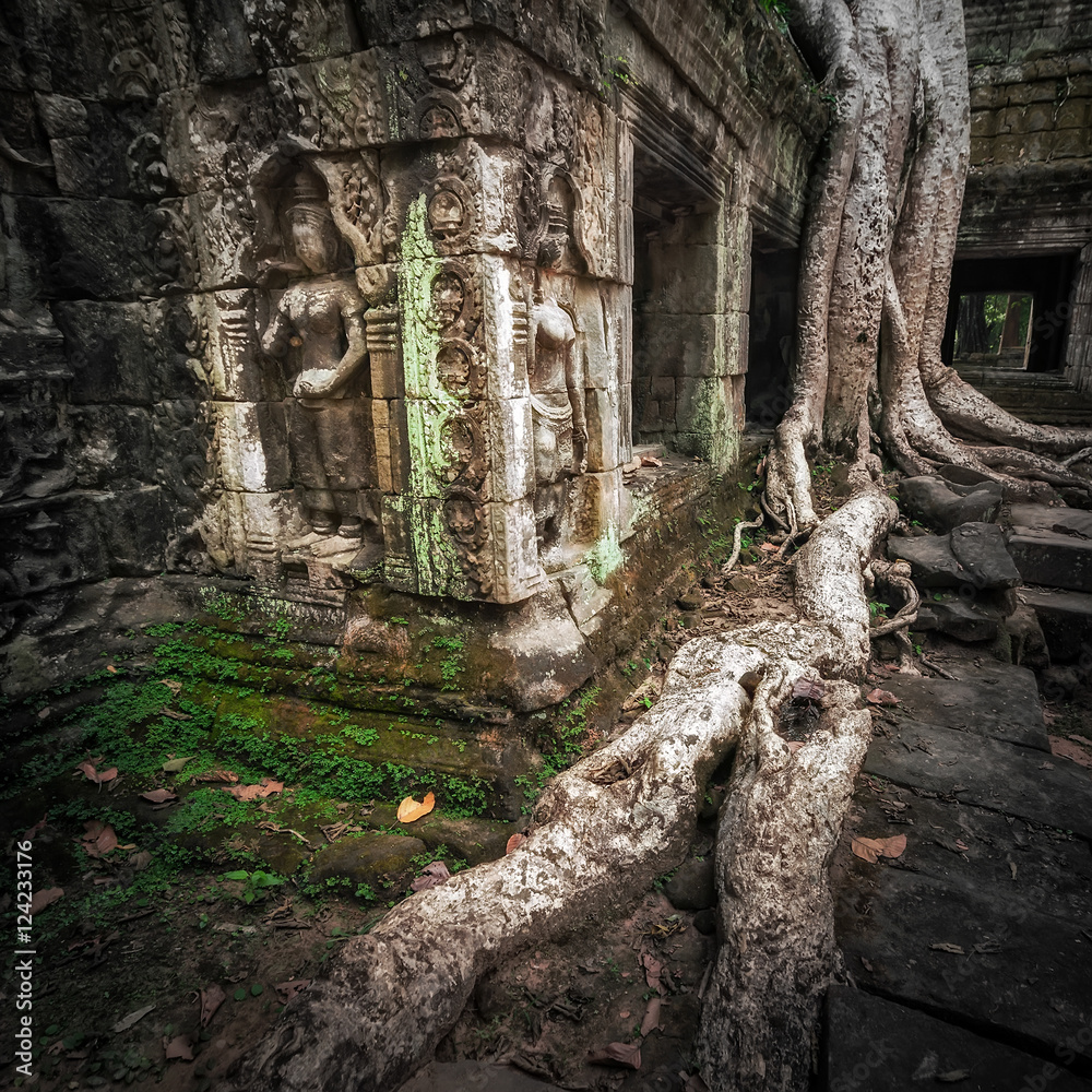Ancient Khmer architecture. Giant banyan tree roots at Ta Prohm temple ...