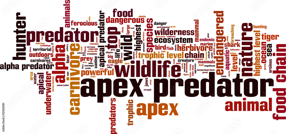 Apex predator word cloud concept. Vector illustration Stock Vector ...