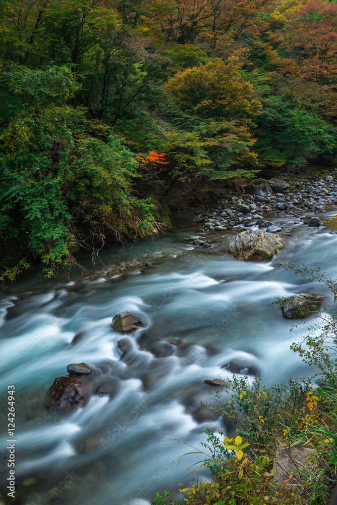 Long exposure flow of Daiya river under Shinkyo bridge in autumn Nikko ...