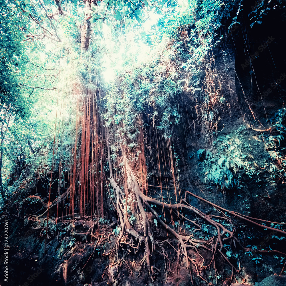 Surreal colors of fantasy landscape at mystical tropical mossy forest ...