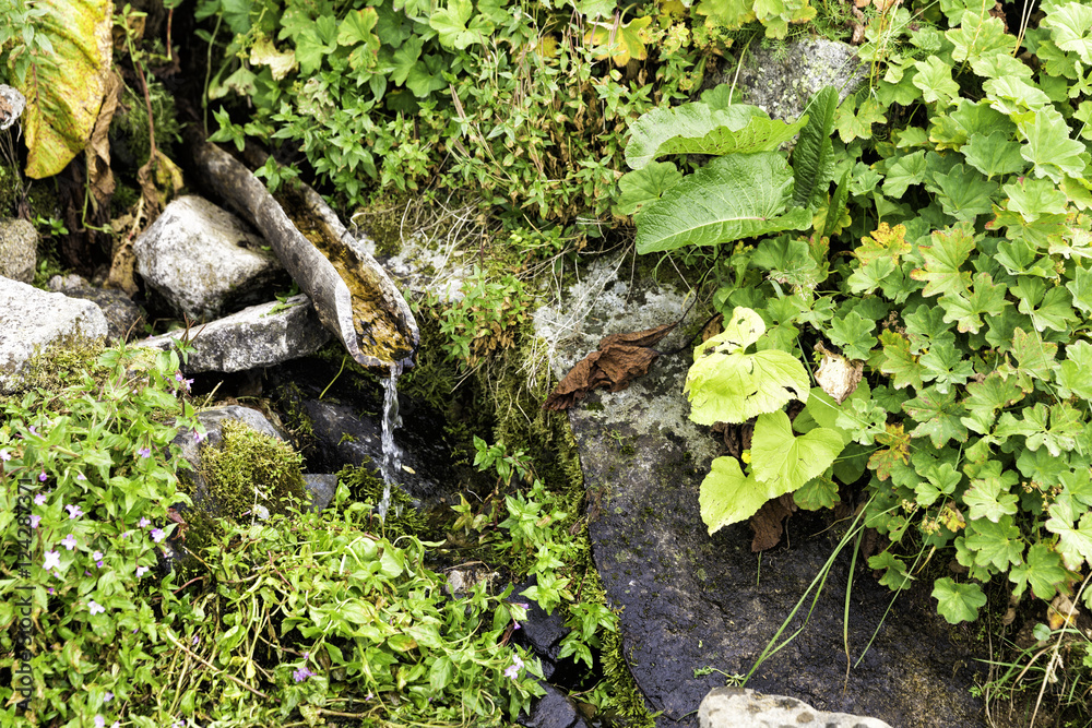 Natural Spring Fountain