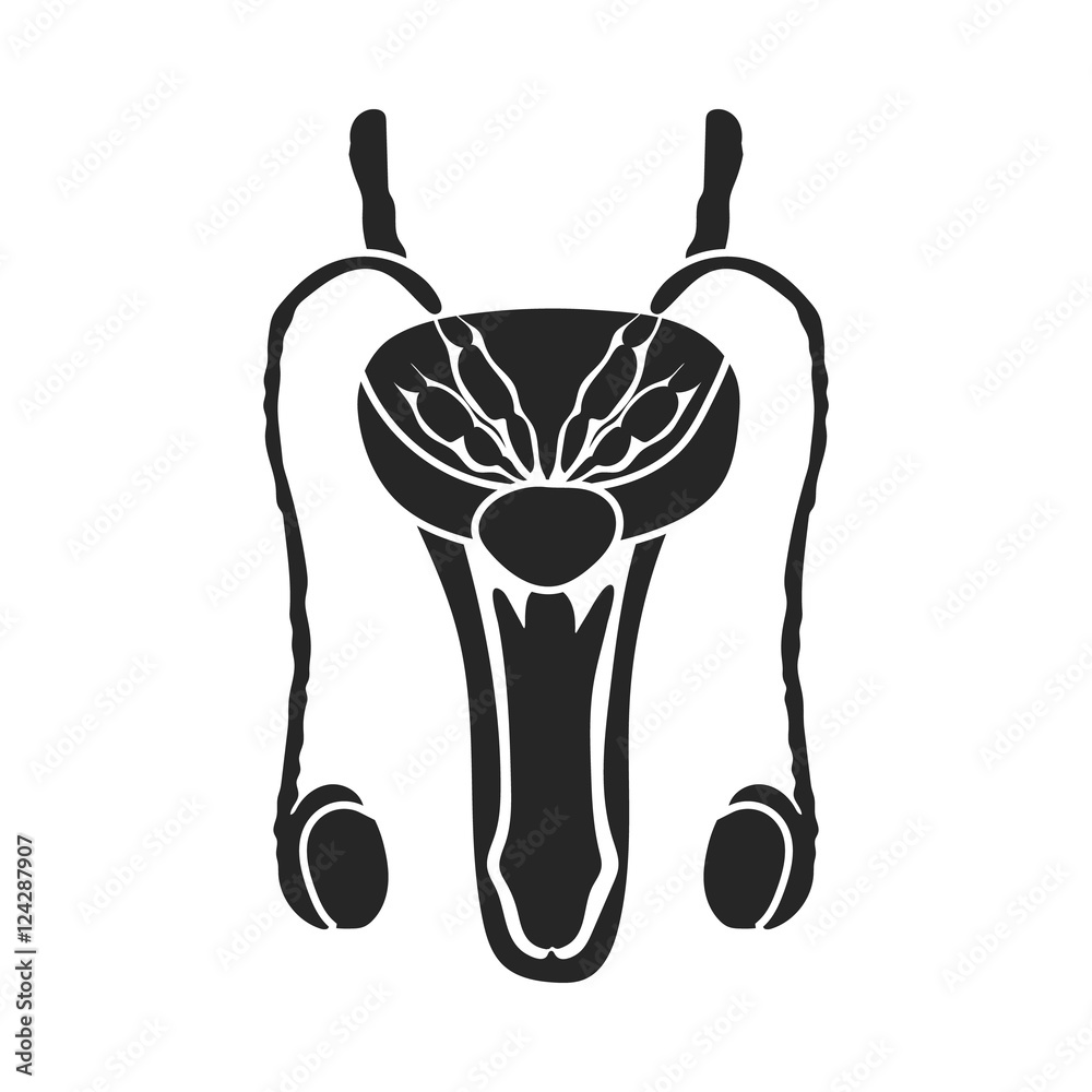Male reproductive system icon in black style isolated on white ...