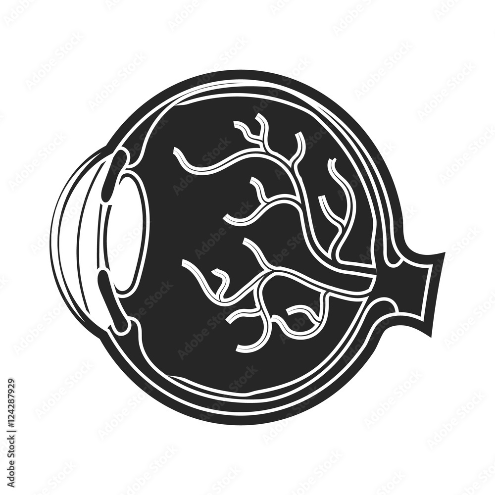 Eyeball icon in black style isolated on white background. Organs symbol ...