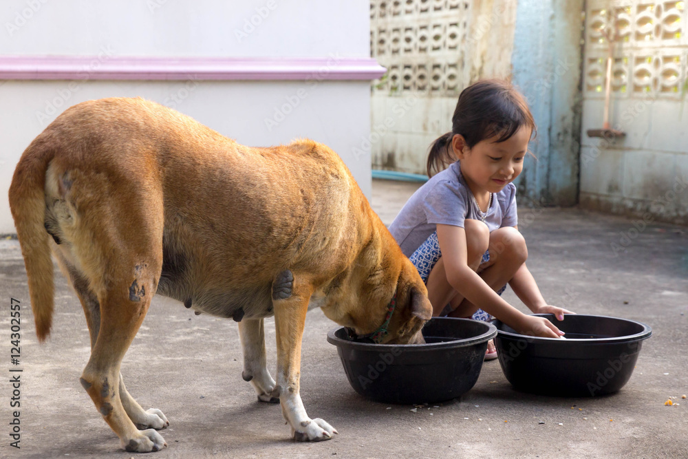 Cute Child feeding to dog at home. Stock Photo | Adobe Stock