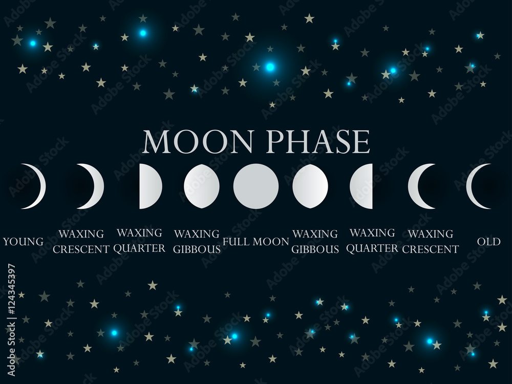 The phases of the moon. The whole cycle from new moon to full. Vector ...