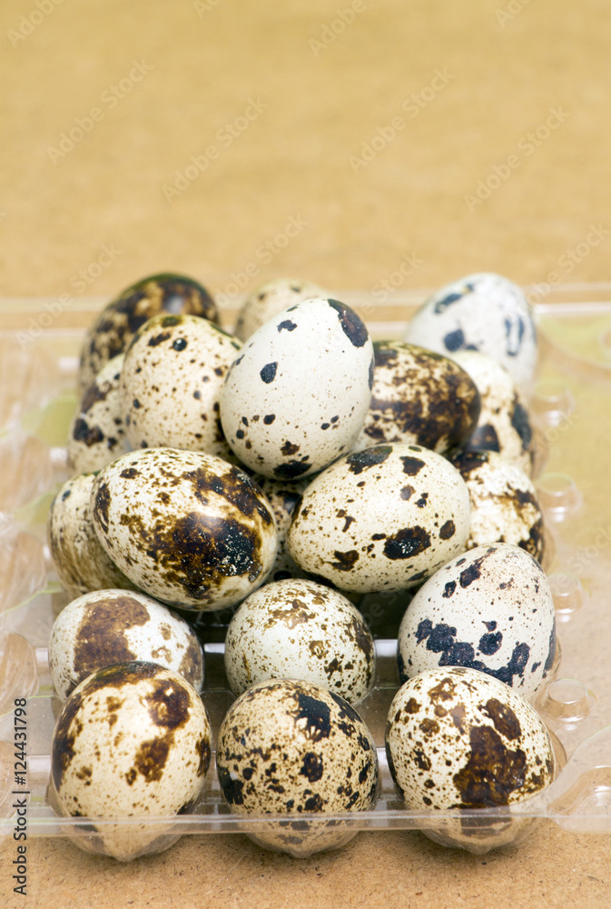 japanese quail eggs Stock Photo | Adobe Stock