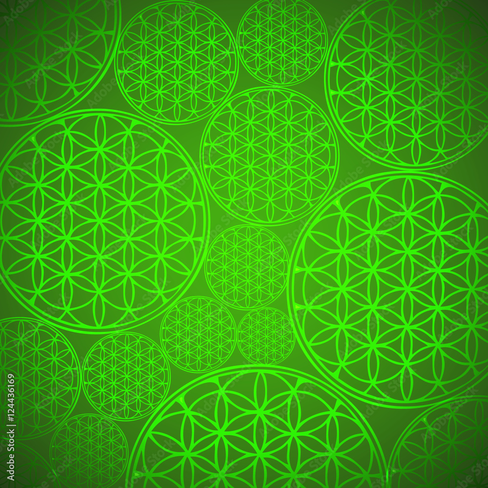Flower of Life Background Illustration Stock Vector | Adobe Stock