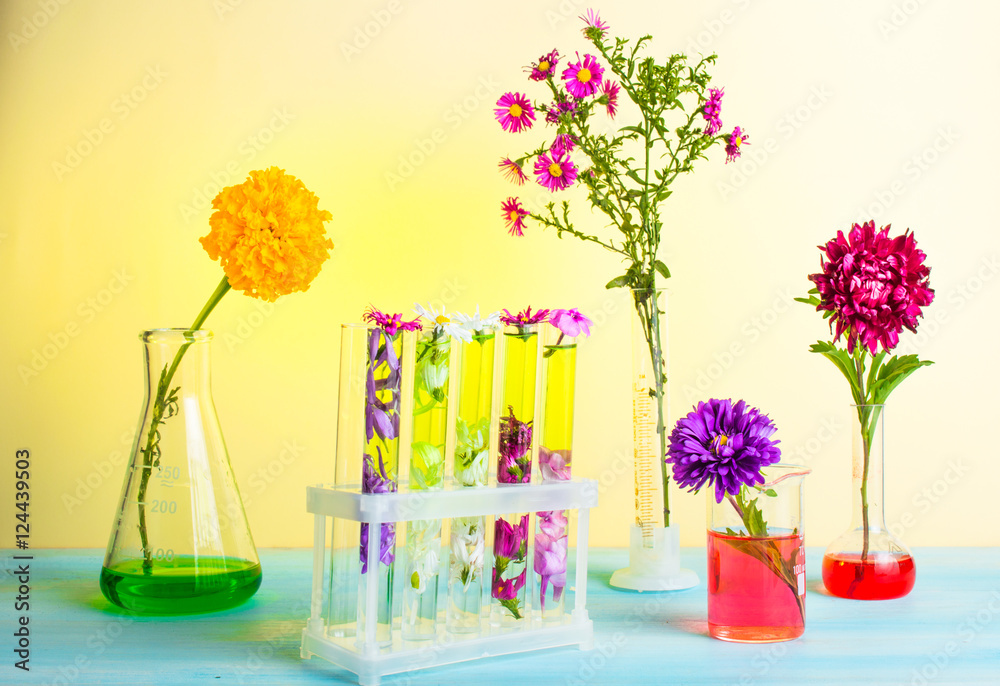 Different flowers in flasks and test tubes. Flower therapy. On a yellow ...