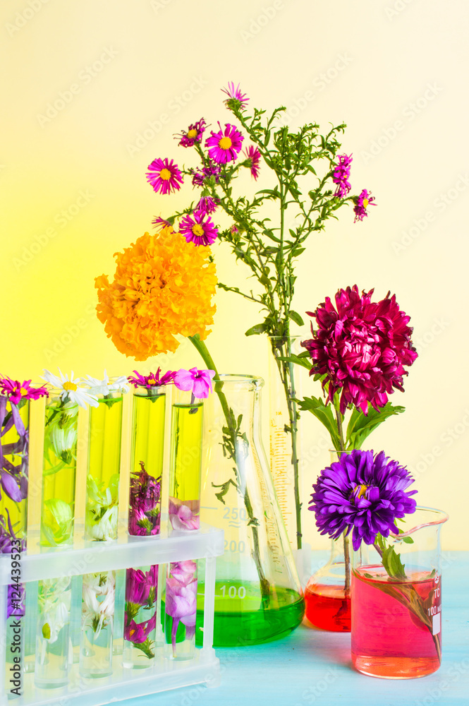 Different flowers in flasks and test tubes. Flower therapy. On a yellow ...